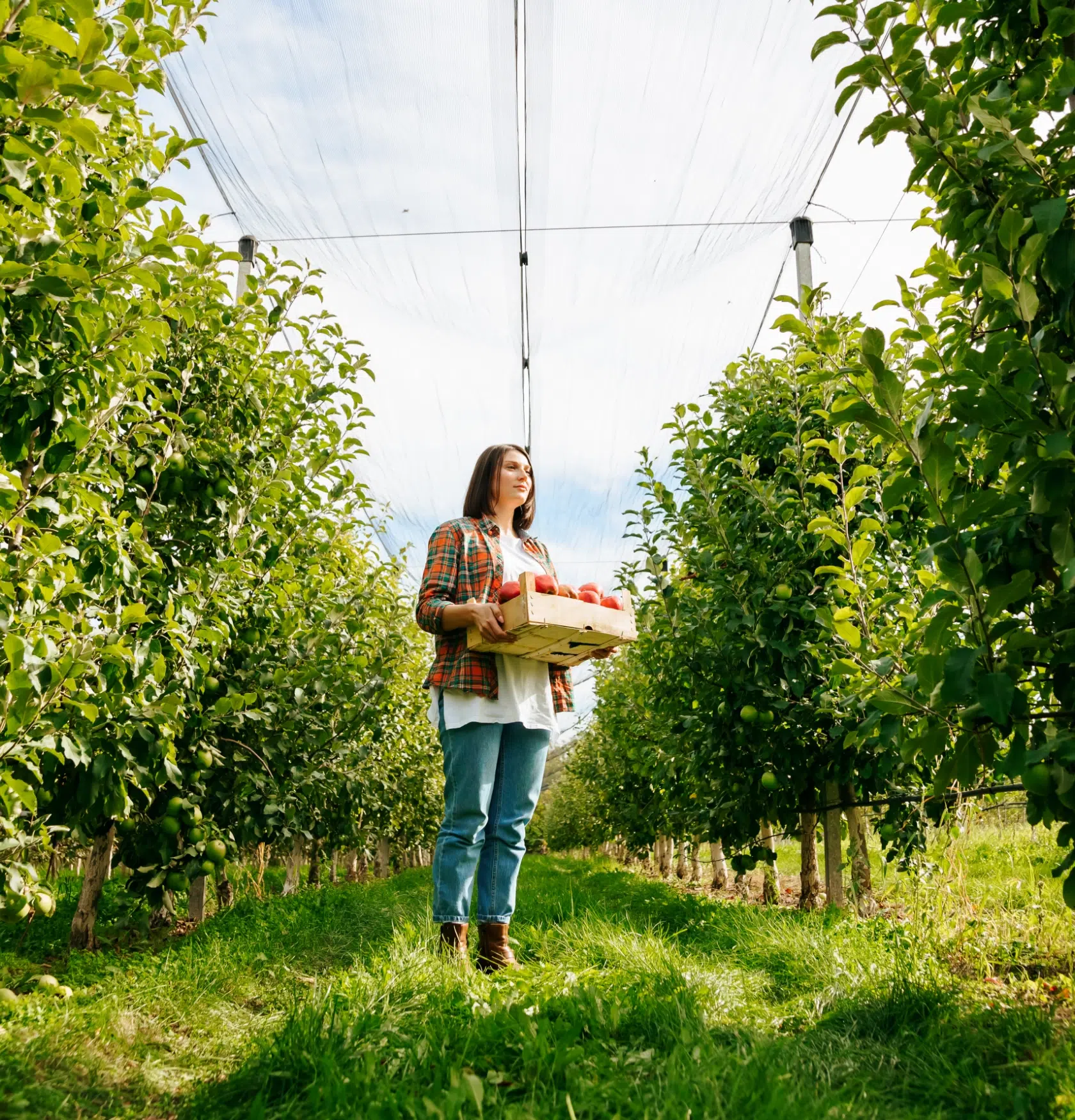 Responsable recherche et développement (H/F) - Sicoly