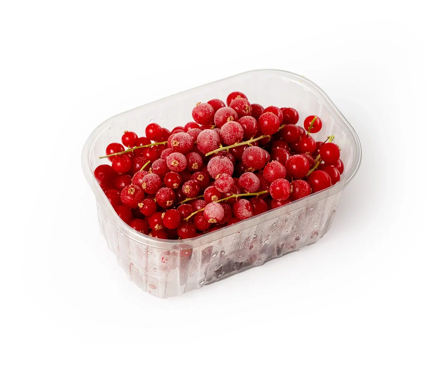 Groseille rouge - Sicoly