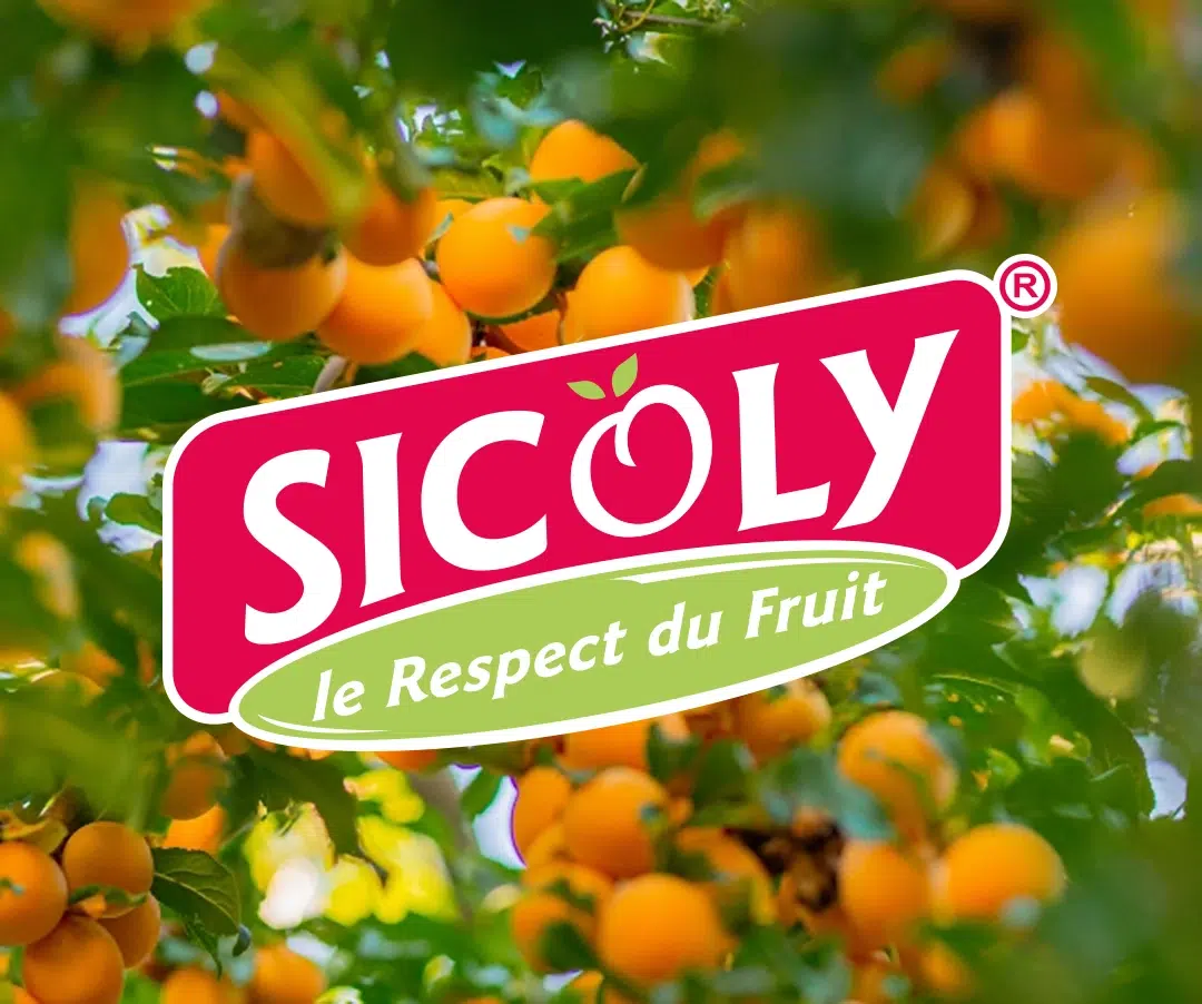 Sicoly, fruit cooperative in the Rhône Valley